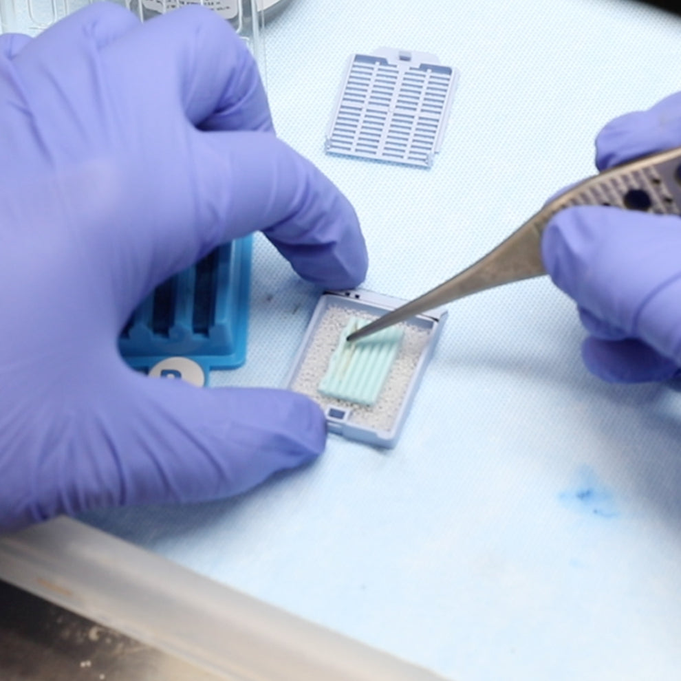 BxChip® - 6 – LUMEA