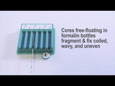 BxBoard® Transrectal Prostate Kit 12-Site – Lumea